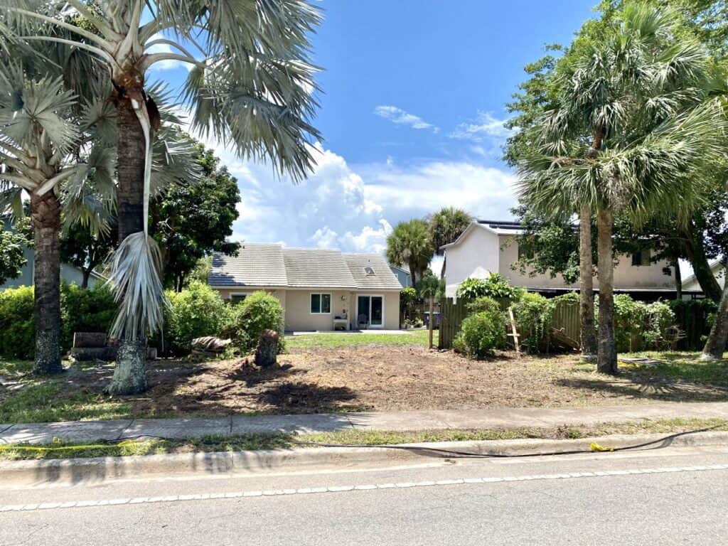 Tree Services In West Palm Beach Florida