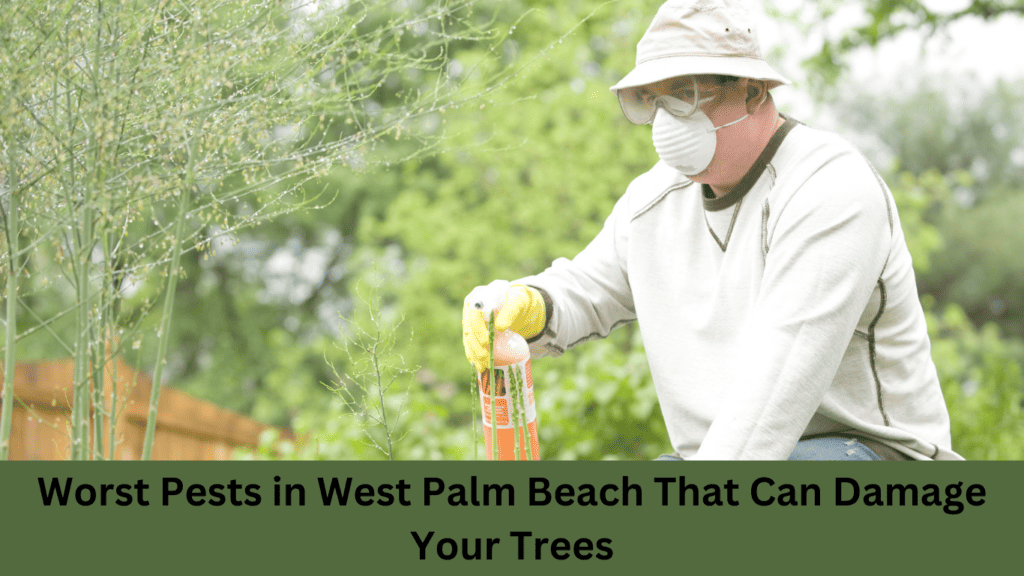 The 3 Worst Pests in West Palm Beach That Can Harm Trees